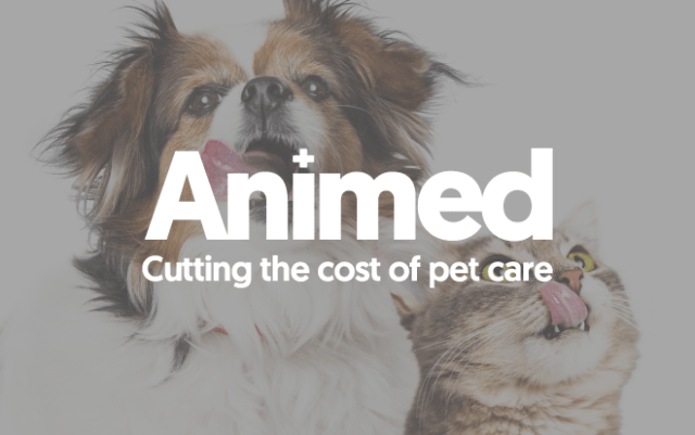 Animed Direct sees revenue uplifts using Fresh Relevance